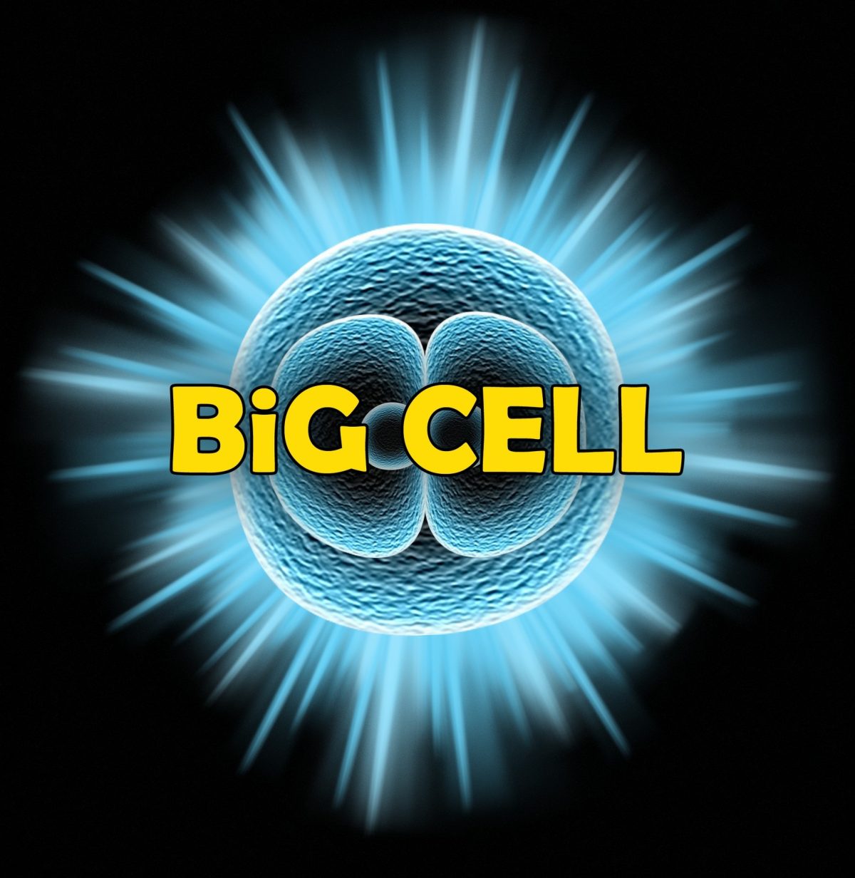 About BiG CELL: Midlands Band
